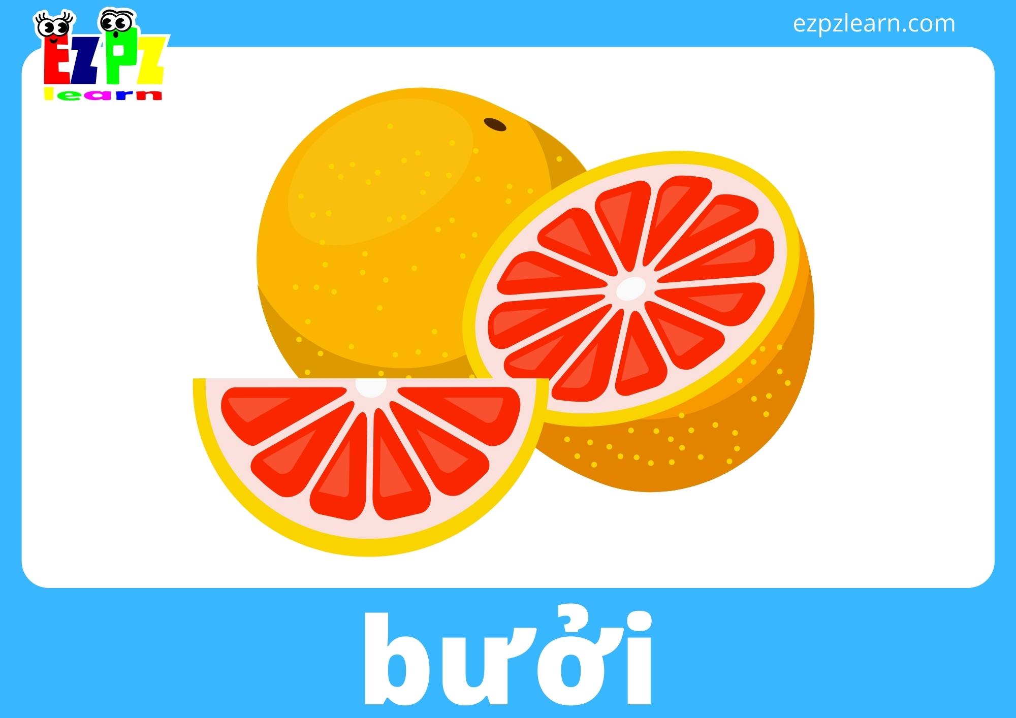 Fruit - Ezpzlearn.com